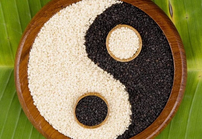 Yin And Yang Philosophy - Vietnam Meditation Retreats